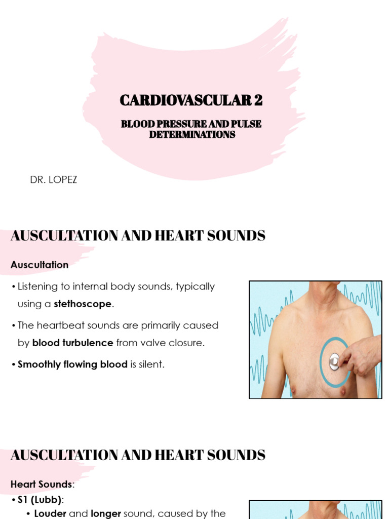 Cardiovascular 2 Anaphysio | PDF | Heart | Pulse