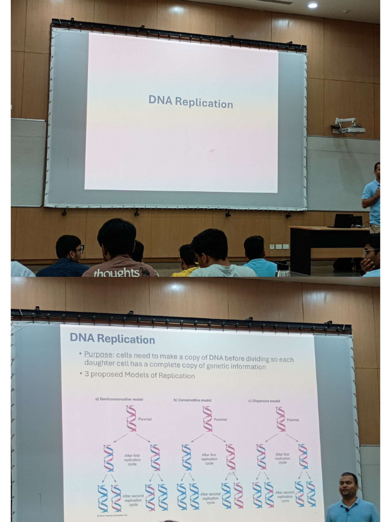 Biology Dna Replication Part - 1 - Compressed | PDF