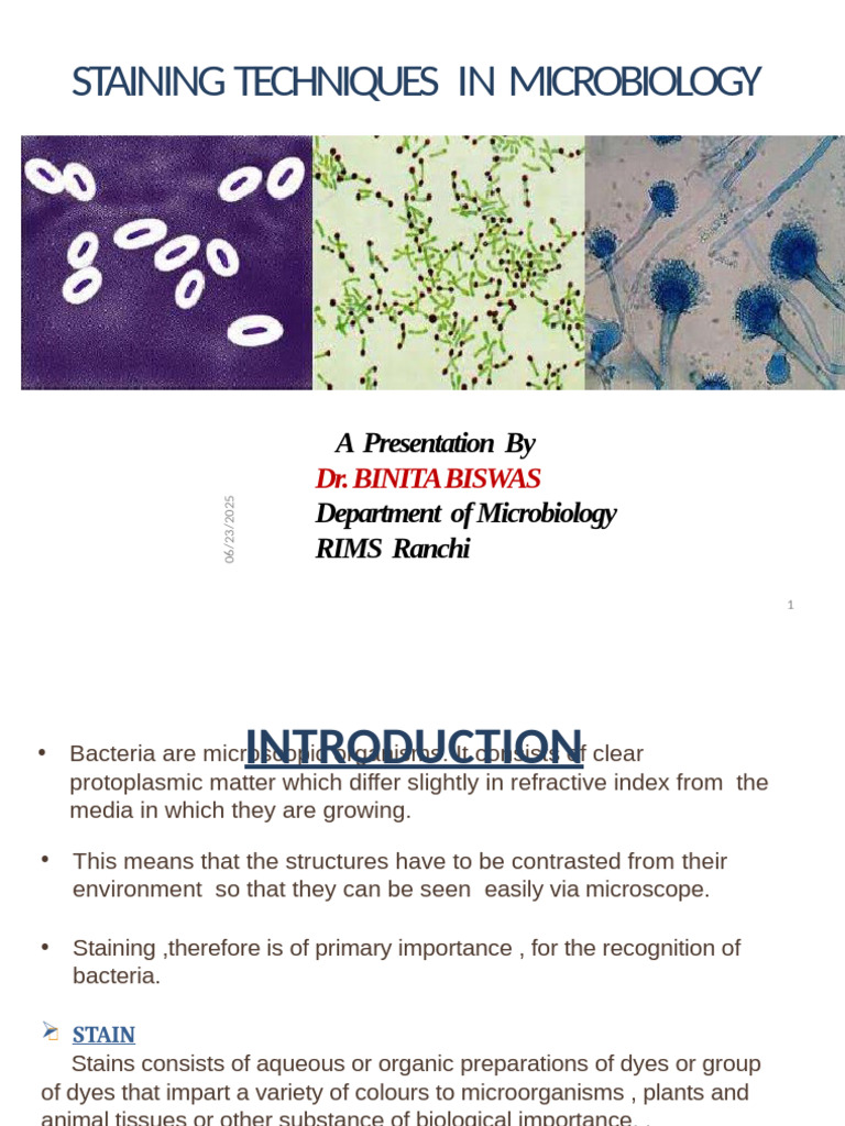 Differential Staining Techniques in Bacteriology | PDF | Staining ...