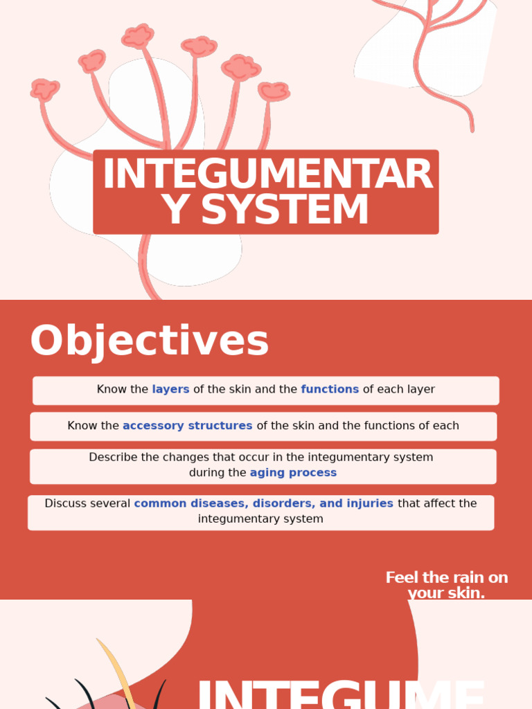 P4 - Integumentary System | PDF | Skin | Integumentary System