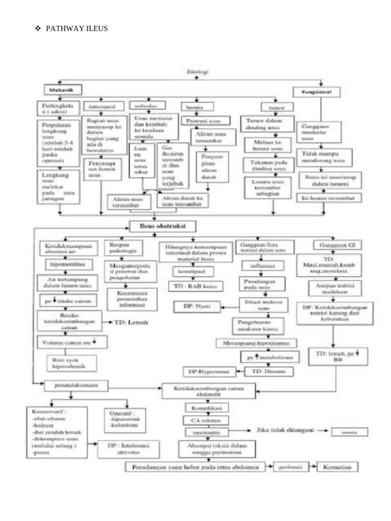 Pathway Ileus | PDF