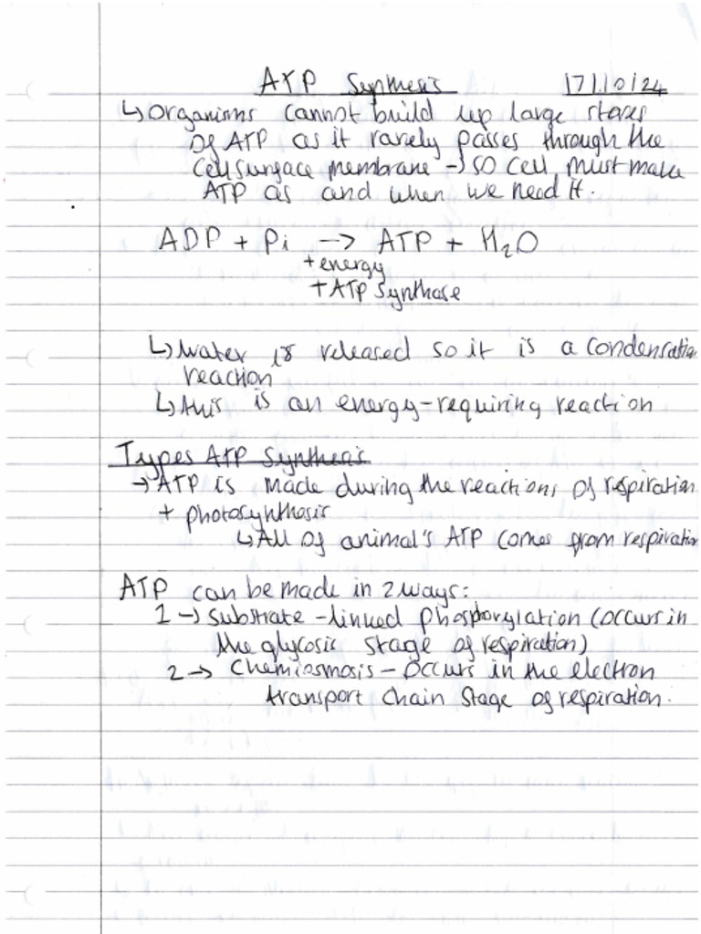 ATP Synthesis | PDF