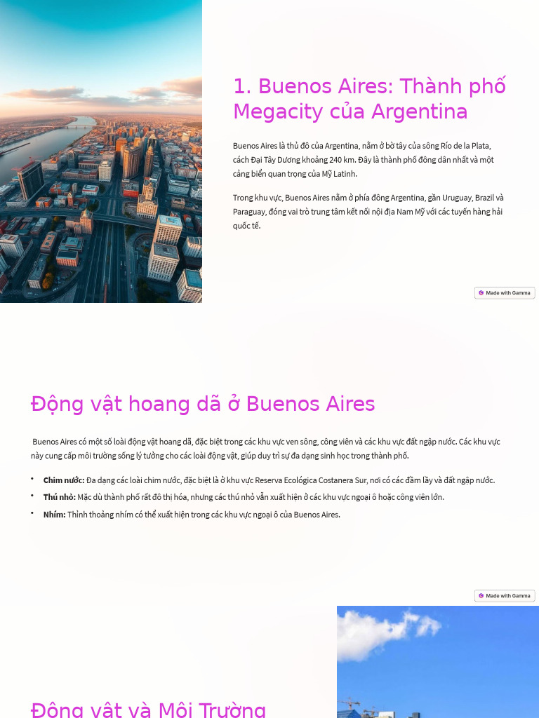 1 Buenos Aires Thanh Pho Megacity Cua Argentina | PDF