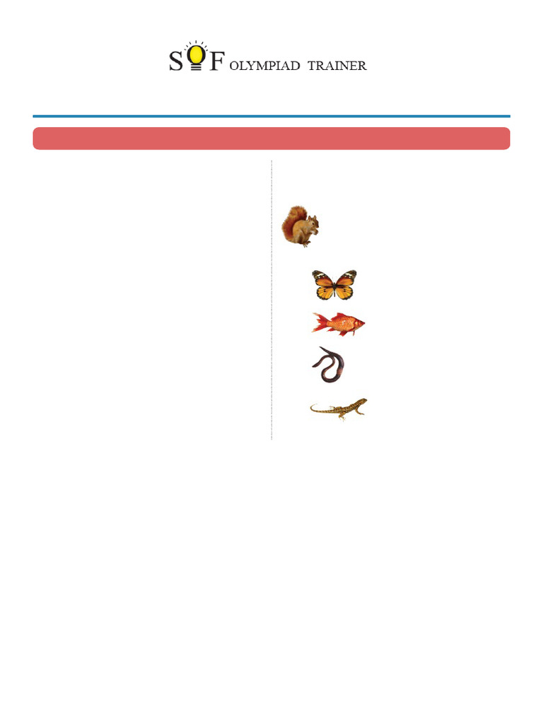 NSO Level 2 Mock Test 2 Class 3 - Answer | PDF | Earth | Foods