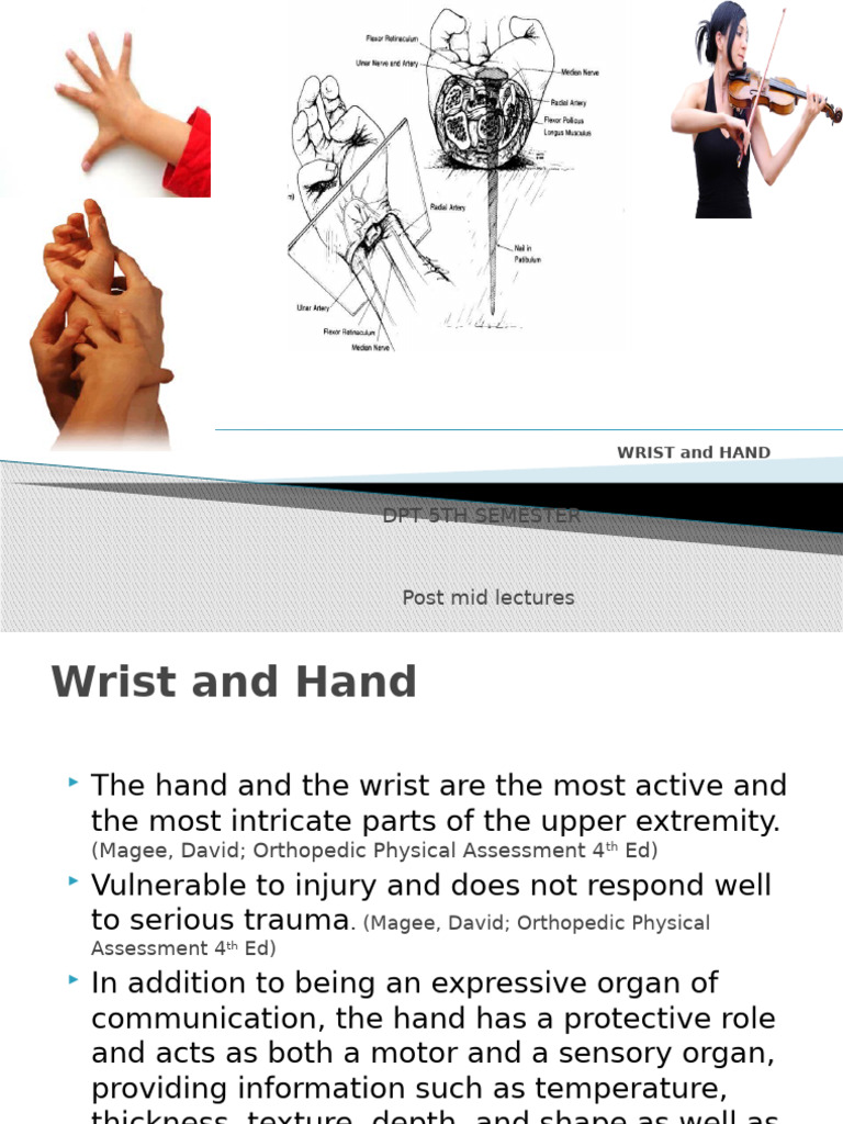 Wrsit and Hand Assesment ' | PDF | Hand | Thumb