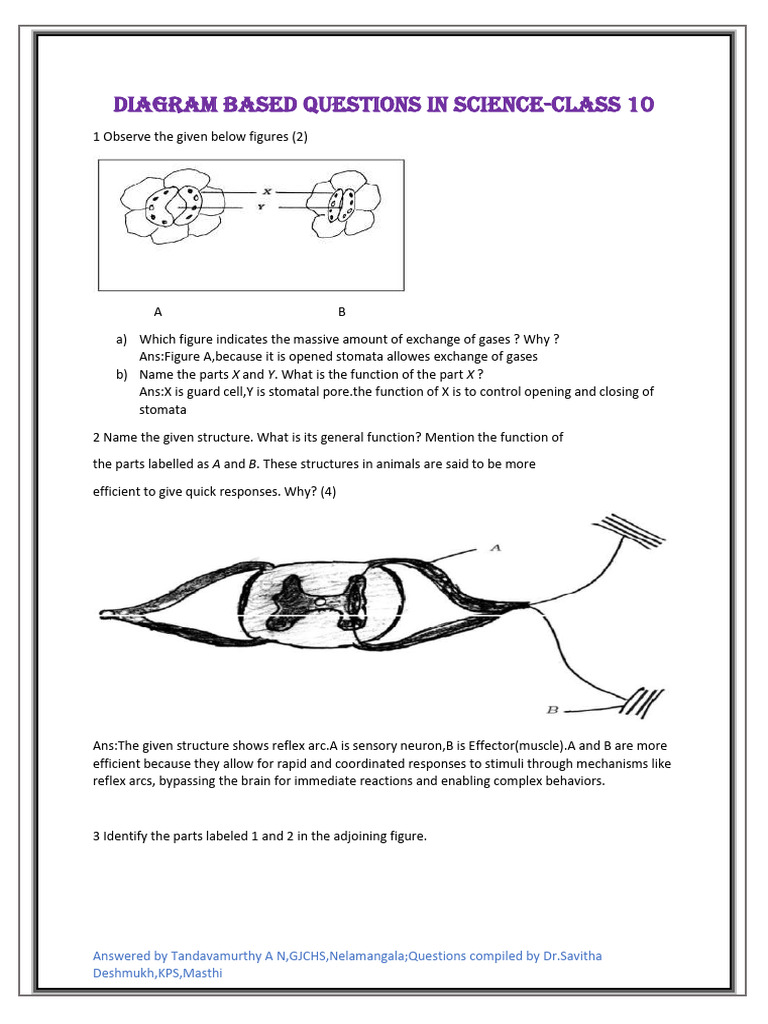 Diagram Based Questions With Answers - 250331 - 233303 | PDF | Biology