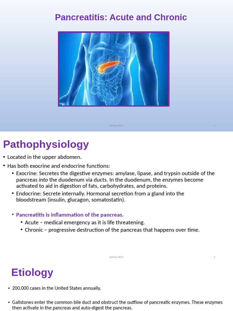 Understanding Pancreatitis: Causes & Care | PDF | Pancreas ...