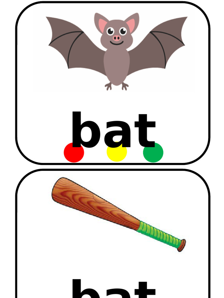 CVC Aa Families Flash Cards | PDF