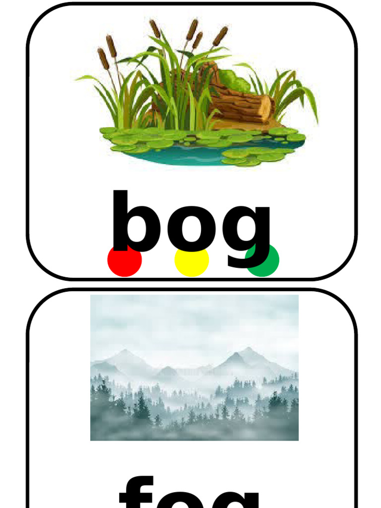 CVC - Oo Families - FLASH CARDS - Final | PDF