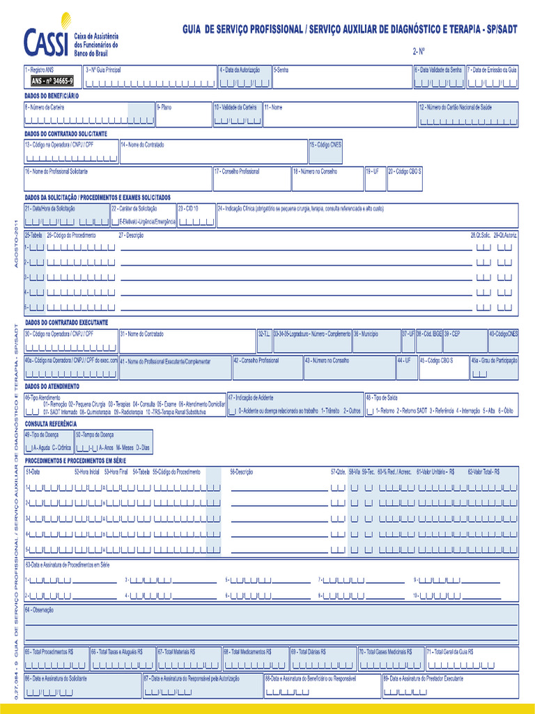 Guia Sadt Cassi | PDF