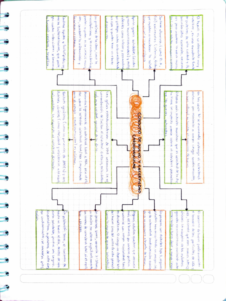 Adobe Scan Abr 26, 2025 | PDF