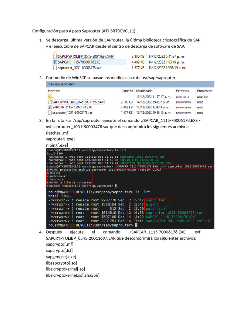 Configuración Paso A Paso Saprouter | PDF | Software | Informática