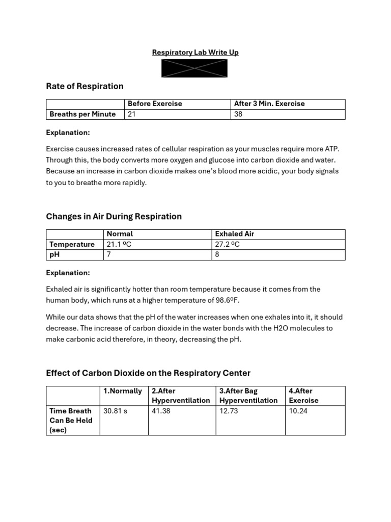 Respiratory Lab Analysis and Findings | PDF | Exhalation | Breathing
