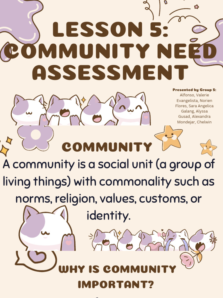 Community Need Assessment - Group 5 | PDF | Suburb | Community