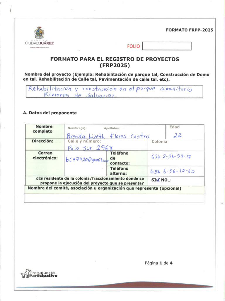 Formato General | PDF