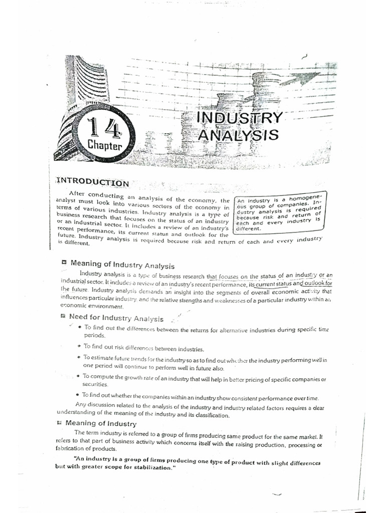 Industry Analysis | PDF