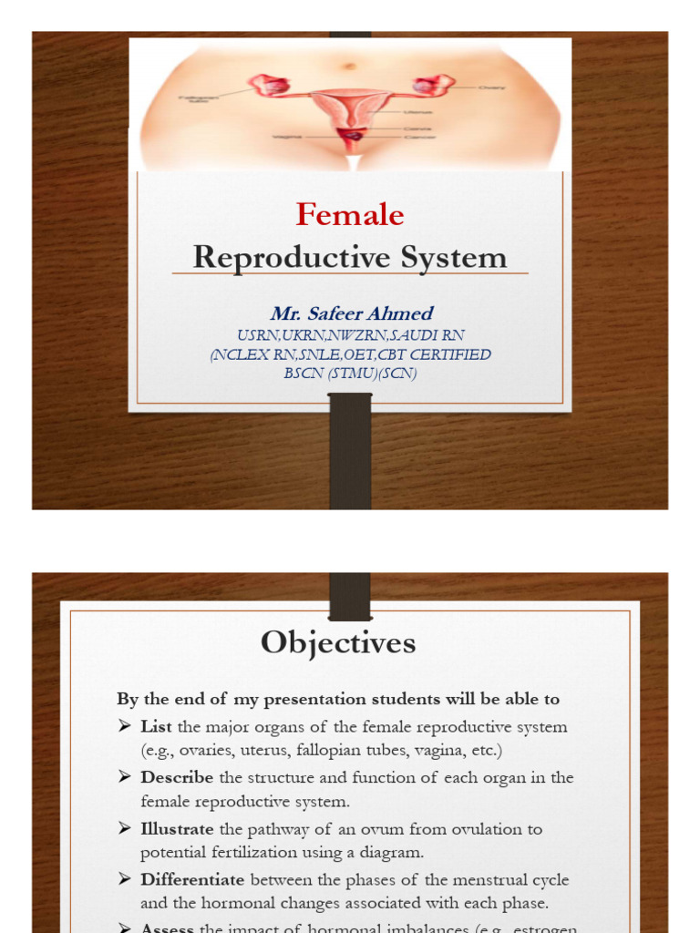 Overview of the Female Reproductive System | PDF | Menstrual Cycle | Uterus