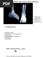Ap Projection of The Foot | PDF | Foot | Anatomical Terms Of Motion