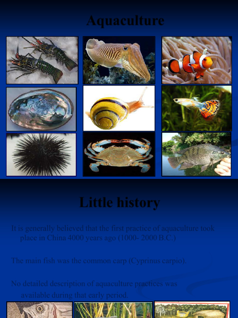 Lesson 2 History of aquaculture for students | PDF | Aquaculture | Fish ...