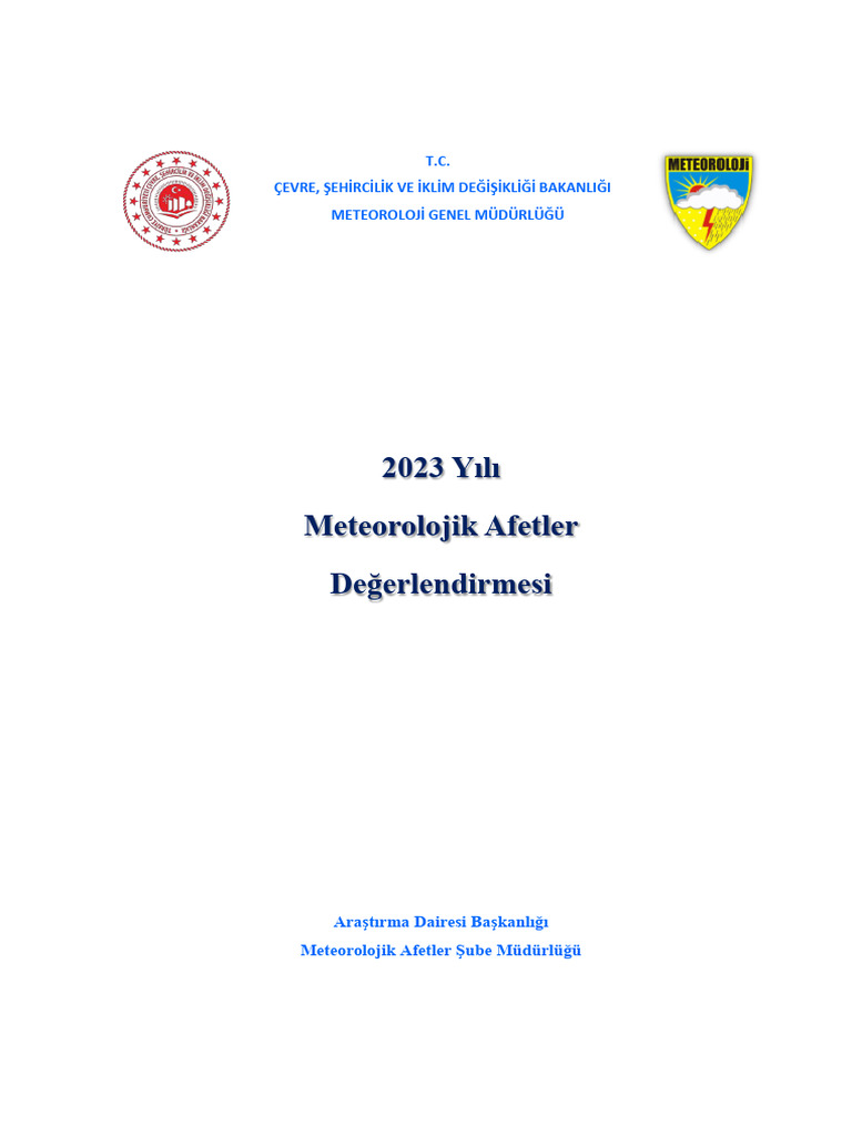 2023 Metafet Raporu | PDF
