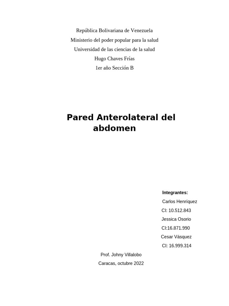 Anatomía del Recto Abdominal | PDF | Abdomen | Sistema musculoesquelético