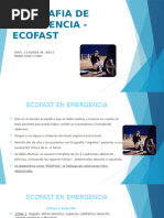 Eco Fast Guia Atlas Importante | PDF | Ultrasonido | Corazón