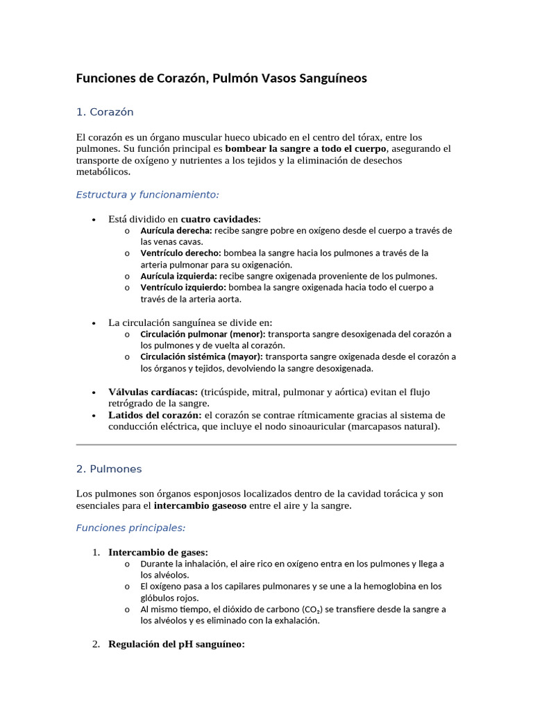 Funciones de | PDF | Sistema circulatorio | Corazón