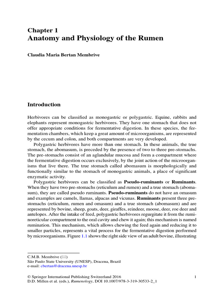 Anatomy and Physiology of the Rumen | PDF | Ruminant | Human Digestive ...