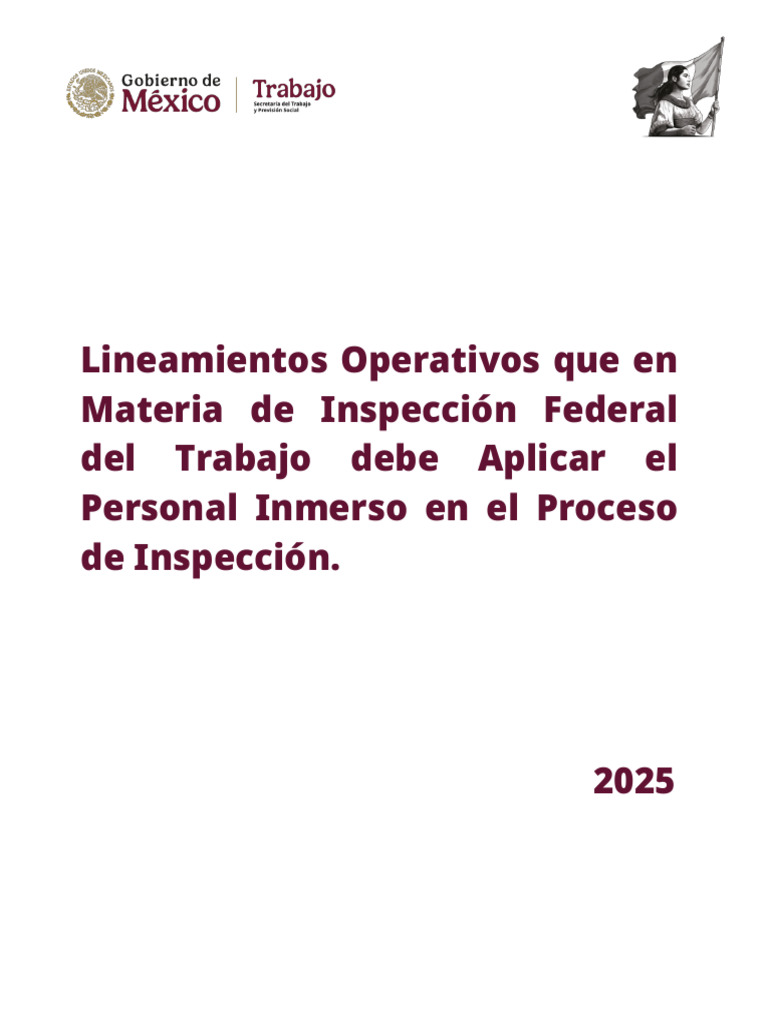 Lineamientos Operativos de Inspecci N CO | PDF | Derecho laboral | México