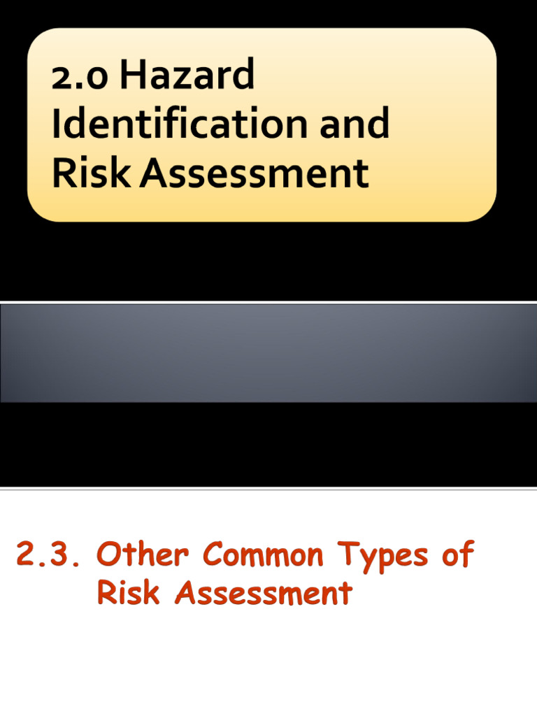 2.3. Other Common Types of Risk Assessment | PDF | Reliability ...