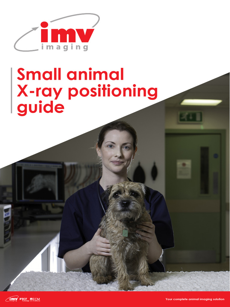INT CA. Booklet 32pp A4. Small Animal X-Ray Positioning.200223-1 | PDF ...