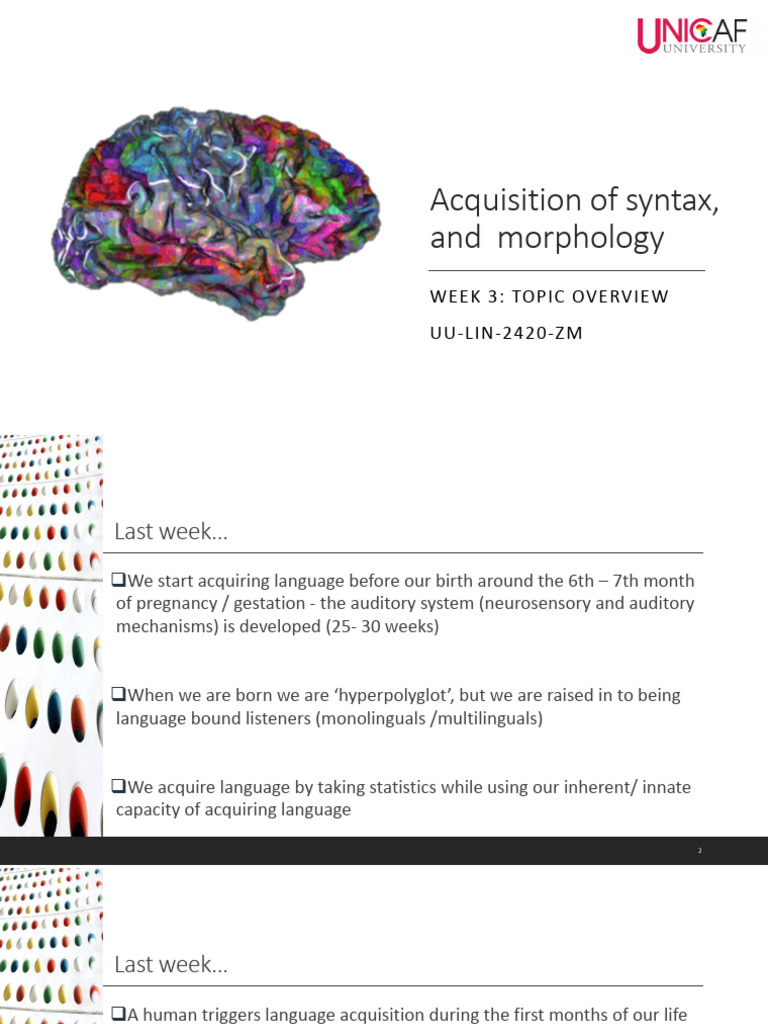 DR Elena Papadopoulou Research Seminar - Topic Overview 3 | PDF | Syntax | Language Acquisition