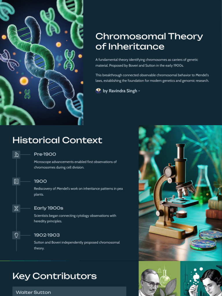 Chromosomal Theory of Inheritance | PDF | Genetics | Genetic Linkage