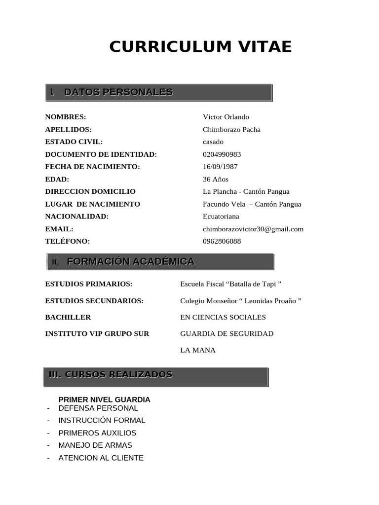 Hoja de Vida Victor Pacha | PDF