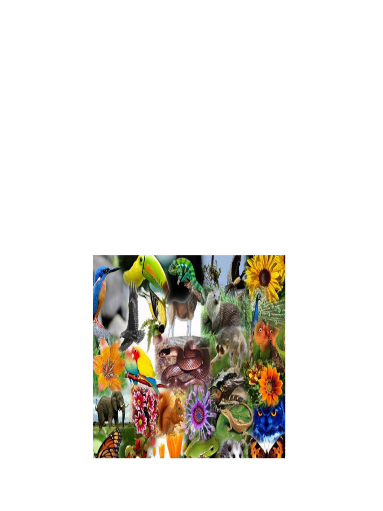 BIOL 1123 CH 1 Introduction To The Diversity of Life | PDF | Eukaryotes ...