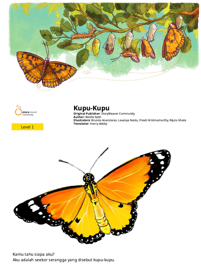Kupu Kupu | PDF | Creative Commons License | Pupa