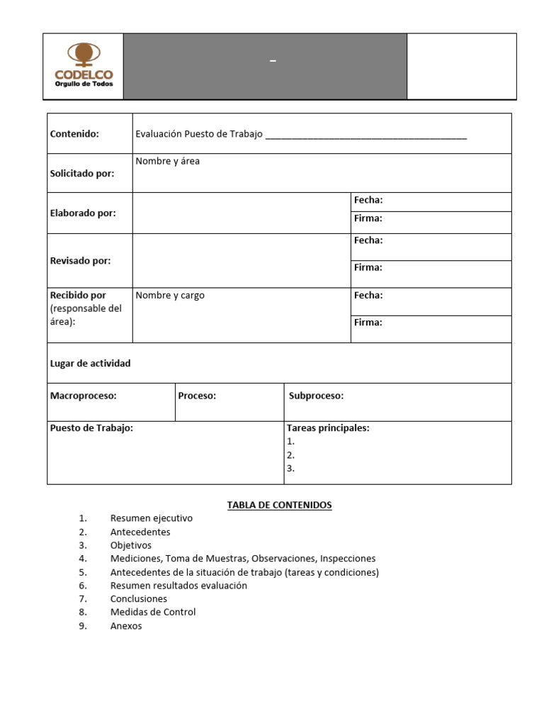 Anexo 4.8 Formato Inf Analisis Erg P. Admin | PDF