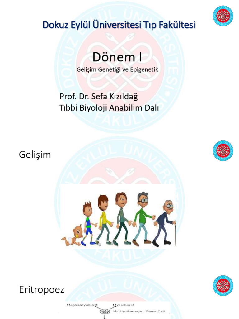 Sunum-35-Drsefa Kizildag-gelisim Genetigi Ve Epig_250526_010208 2 | PDF