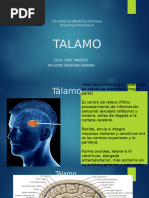 Tálamo | PDF | Tálamo | Neuroanatomía