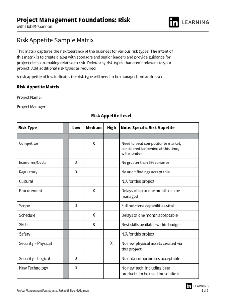 03 - 01 Risk Appetite Sample Matrix | PDF | Risk | Project Management