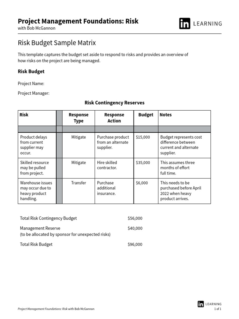 03 - 03 Risk Budget Sample | PDF