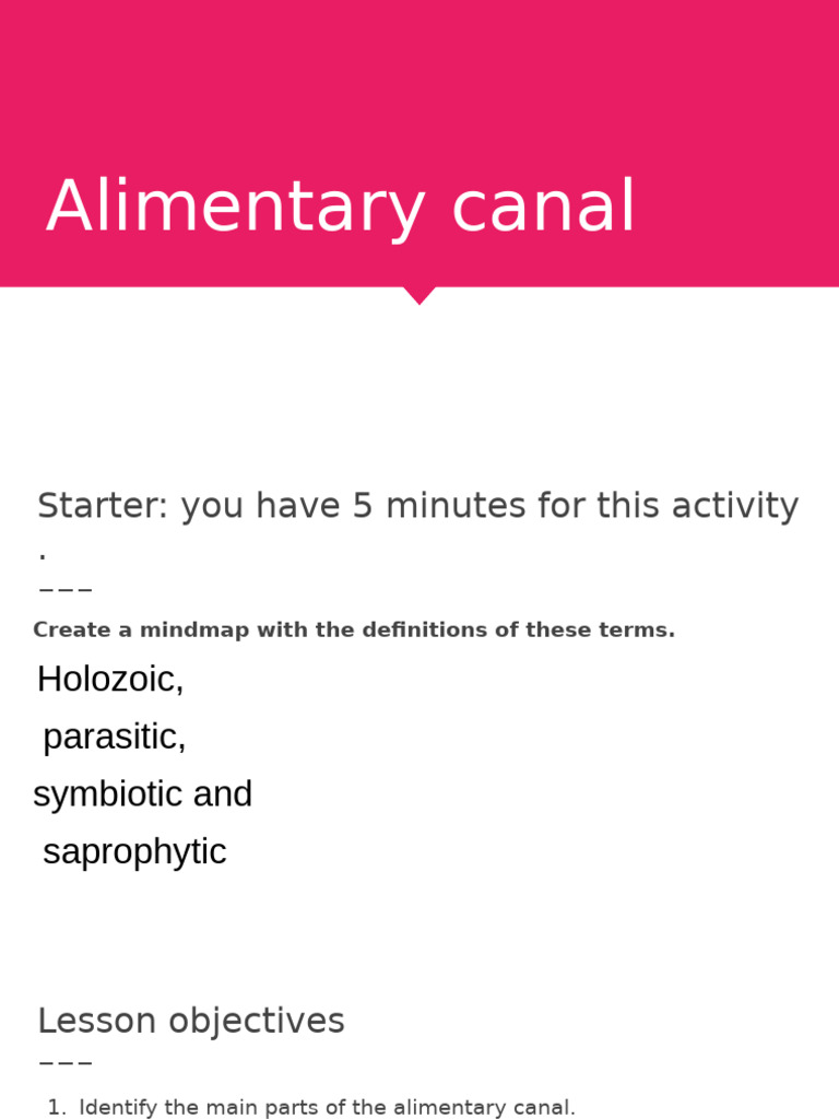 Lesson 6.0 Alimentary Canal | PDF | Digestion | Gastrointestinal Tract