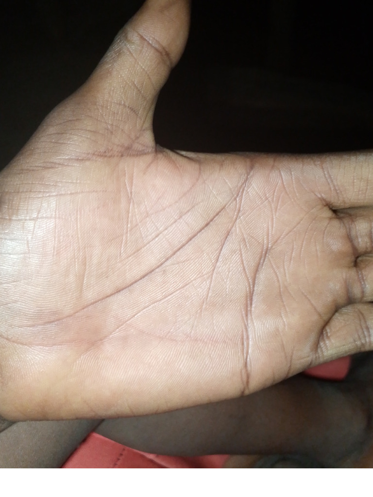 All PDF Reader 20250523 19.36.19 | PDF