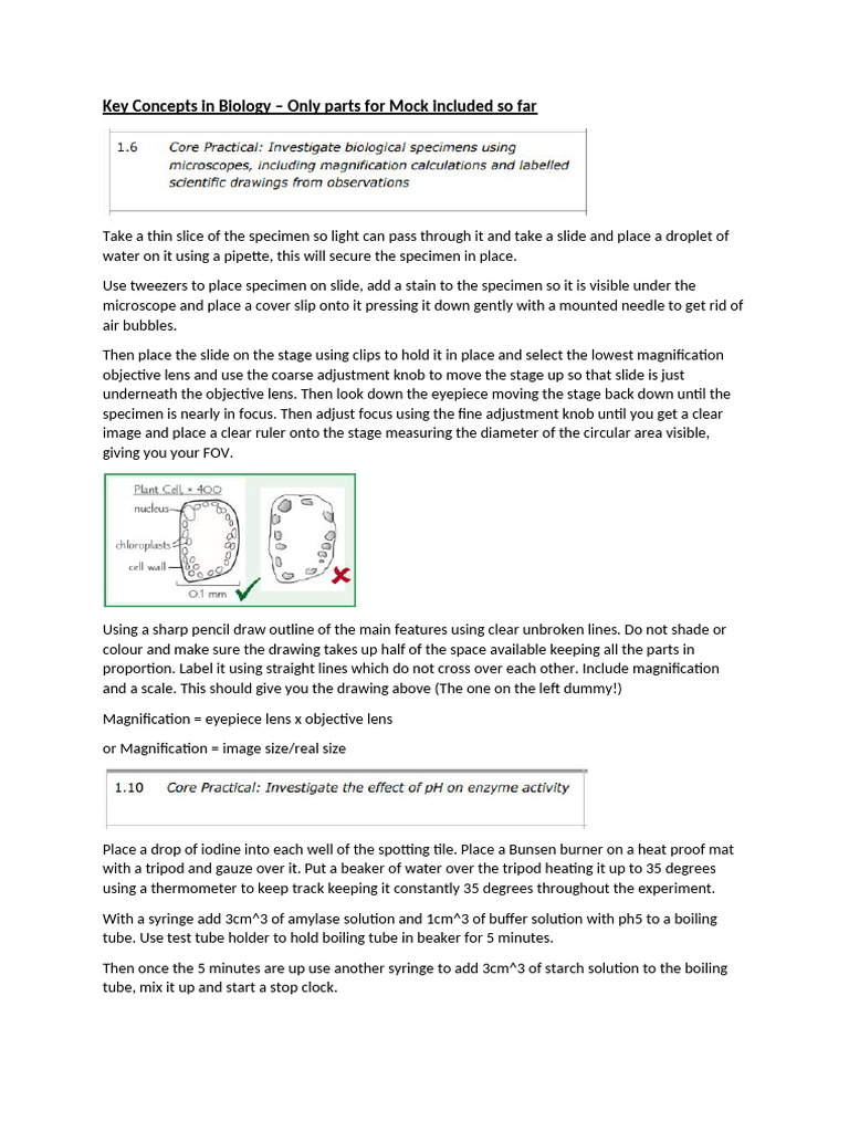 Biology Scientia | PDF
