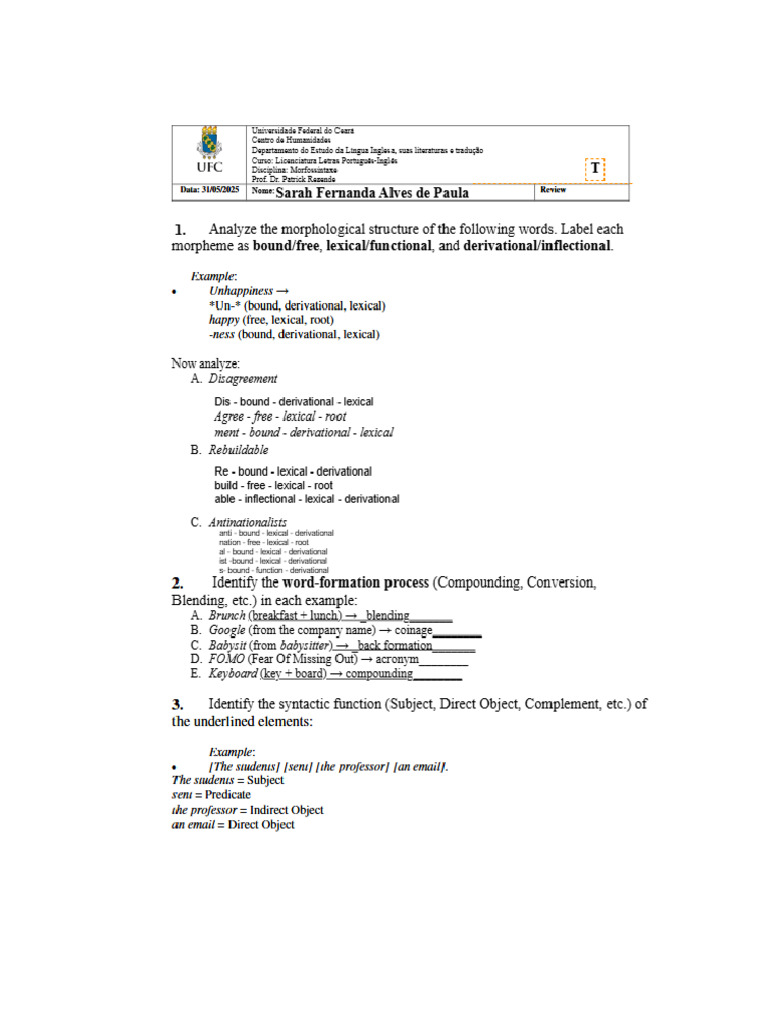 Morphosyntax Sarah Fernanda Complete | PDF