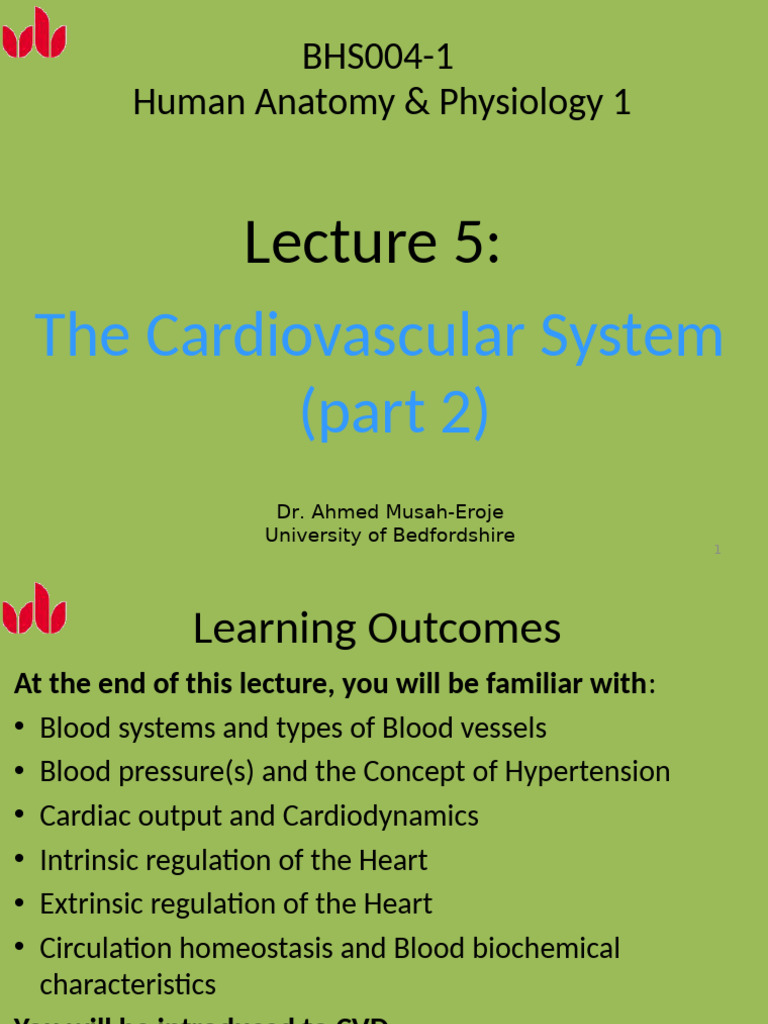 BHS004-1 Lecture 5 Cardiovascular System (Part2) 2022 | PDF | Vein ...
