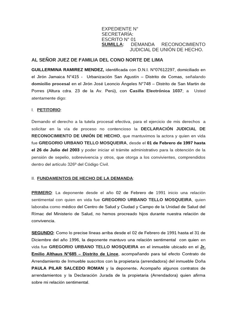 Demanda de Union de Hecho de Guillermina Ramirez | PDF | Ley procesal | Demanda judicial