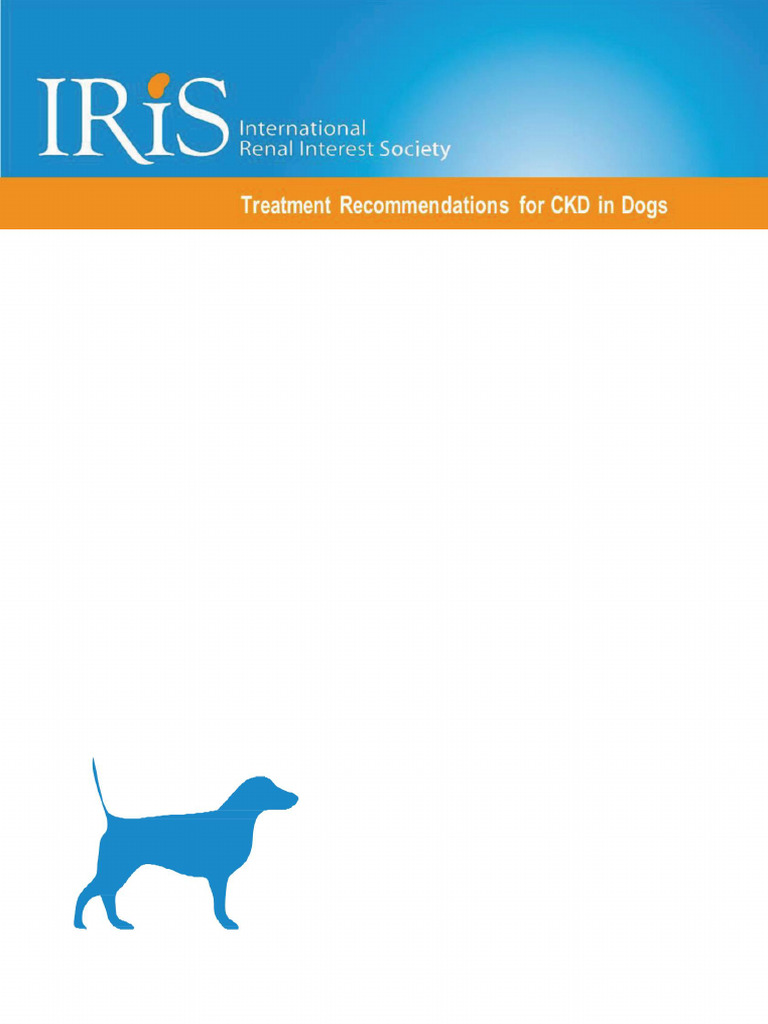 Recomendações para Tratamentos de DRC em Cães Segundo A IRIS | PDF ...