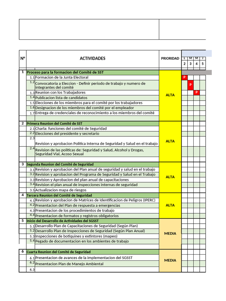 Cronograma de Implementacion Del CSST 2025 | PDF