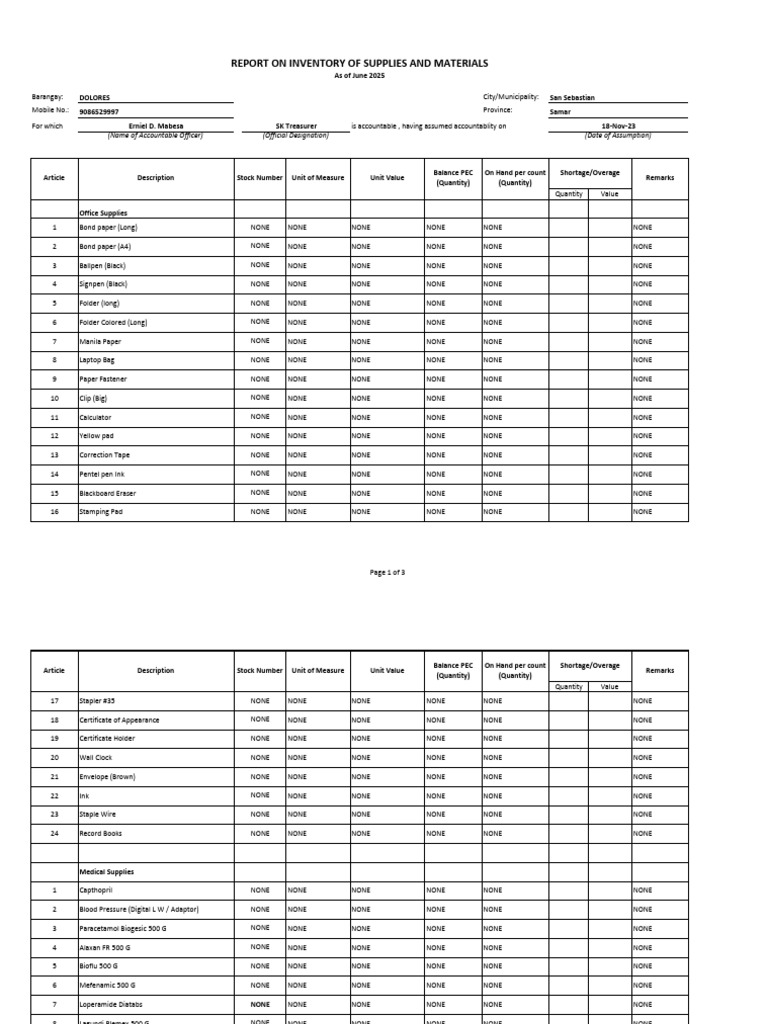 Report of Inventory of Supplies and Materials | PDF